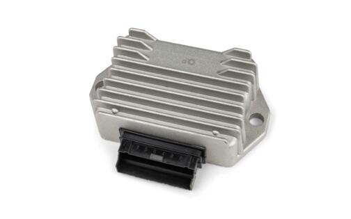 Roller Elektrik und Instrumente | SCOOTER-ATTACK