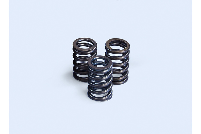 Valve Springs Polini Vespa 50 4-stroke after 2021 | MAXISCOOT