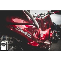 Sticker Stage6 logo 25x4.5cm white | MAXISCOOT