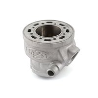 Cylinder Kit 2Fast 100cc Minarelli LC | MAXISCOOT